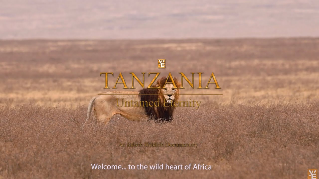 TANZANIA SAFARI DOCUMENTARY｜ UNTAMED ETERNITY Explore East Africa with ...