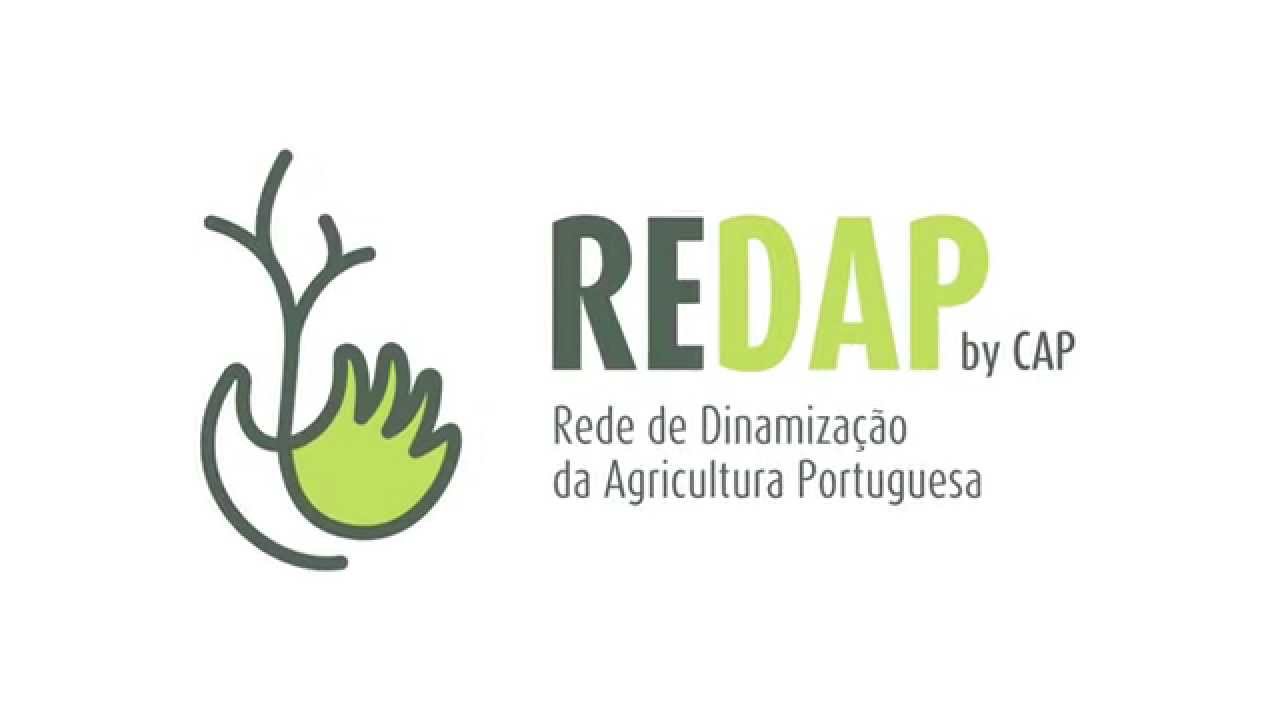 REDAP - Promo Parceria CAP OTOC - YouTube