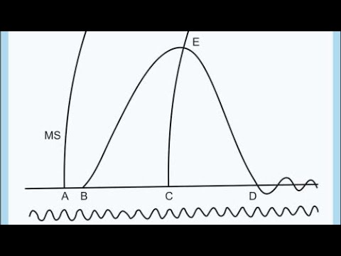 Simple Muscle Twitch - AMPHIBIAN GRAPHS - YouTube