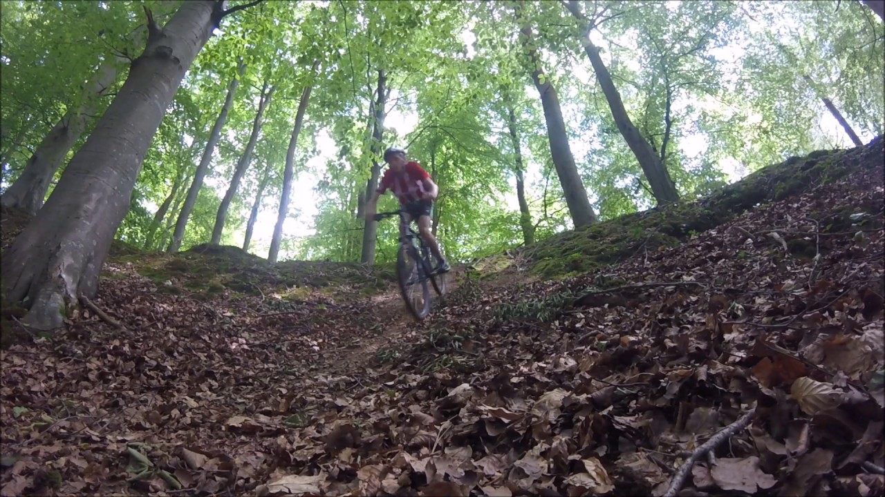 VTT en forêt : Terrain de Cross - YouTube