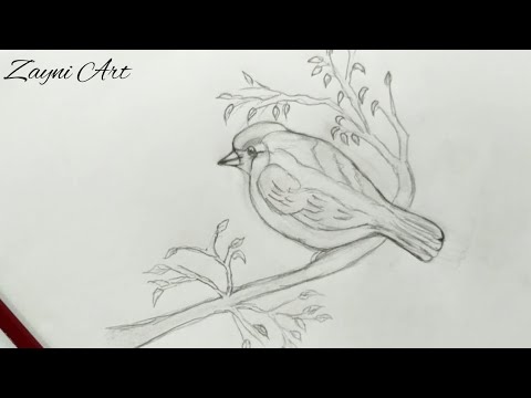 How to draw a bird scenery with pencil step by step||pencil drawing for ...