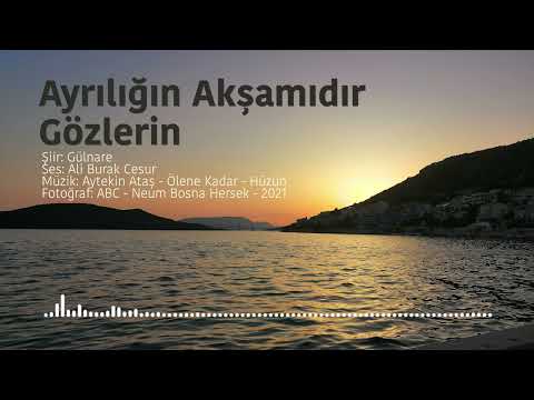 Ayrılığın Akşamıdır Gözlerin - Gülnare | Şiir Seslendirme