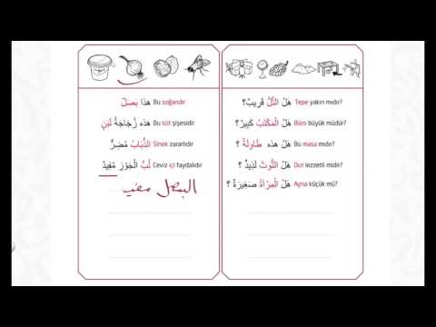 Başlangıç Cümleleri 1 | Arapça Dil Eğitimi