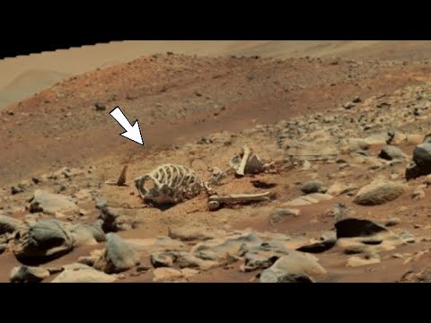 Perseverance Live || NASA's Mars Latest Update with 4k Footages of Mars ...