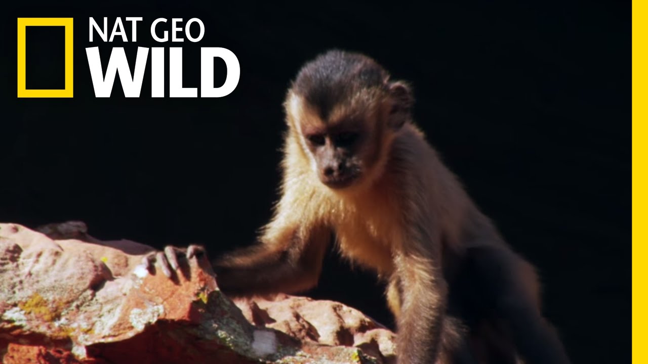 A Hard Journey That's Worth the Reward | Destination WILD - YouTube