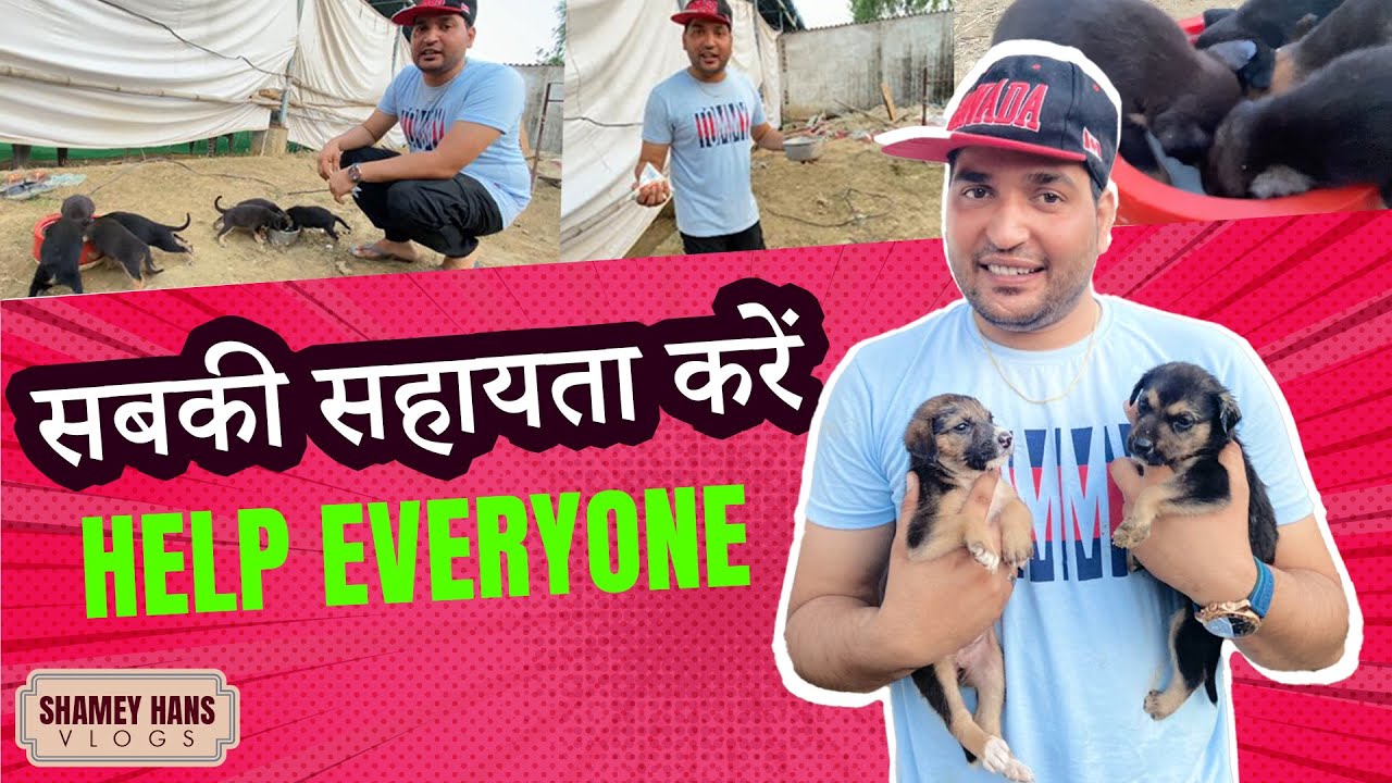 Sabki Madad Karein | Help Everyone | Shamey Hans Vlog | Video By Media ...