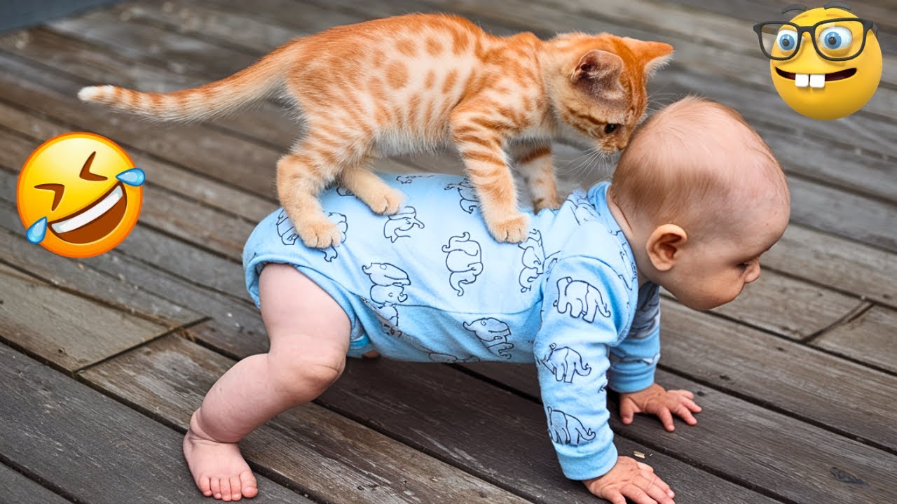 Cuteness Overload! Dogs vs. Babies in Hilarious Encounters! - YouTube