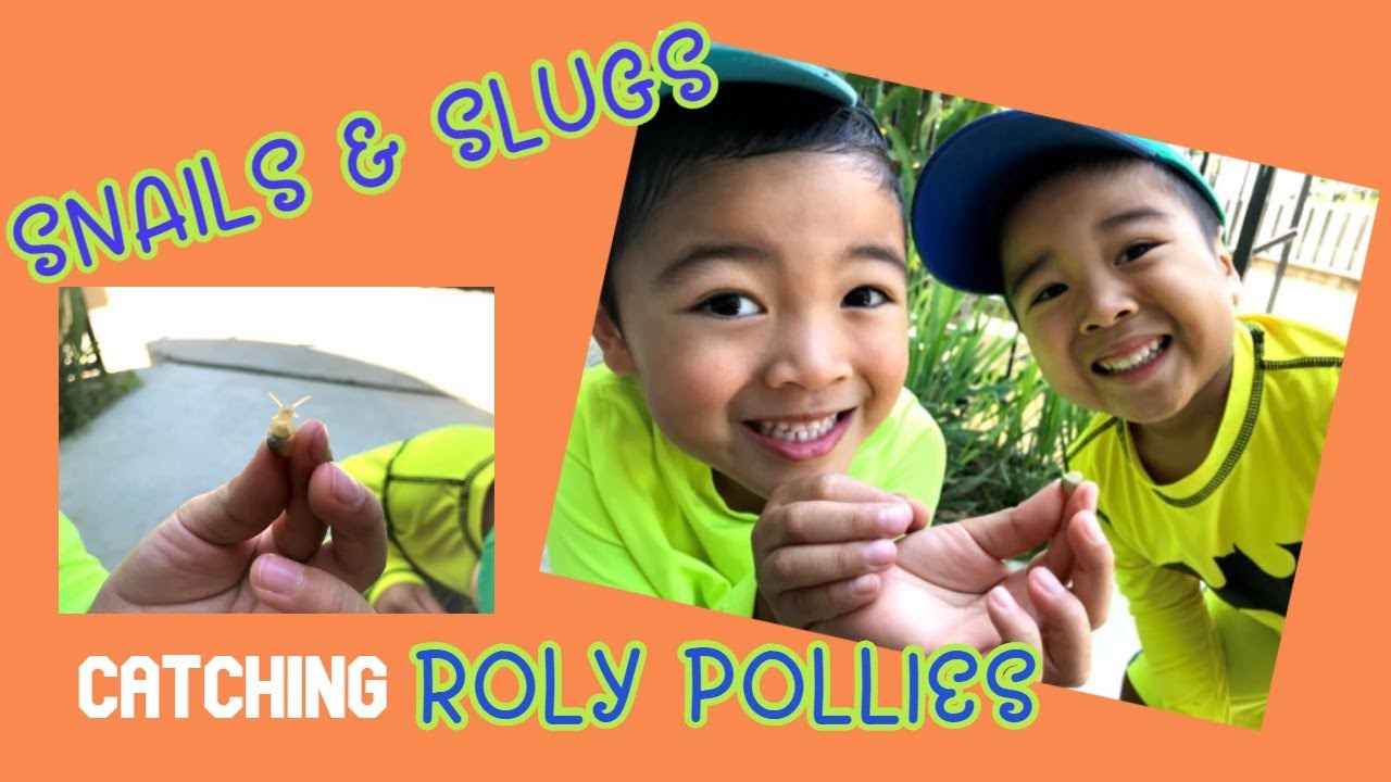 Roly Poly- How to catch a ROLY POLY! - YouTube