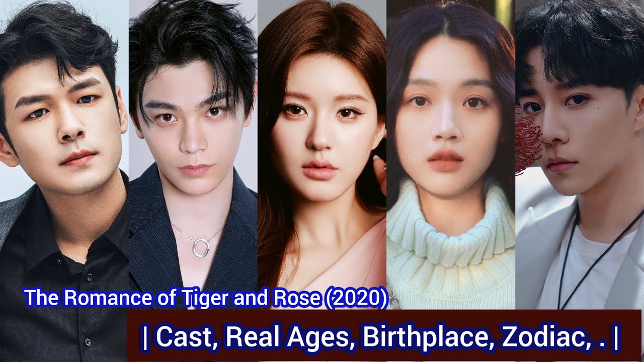 The Romance of Tiger and Rose (2020) | Cast, Real Ages, Birthplace ...