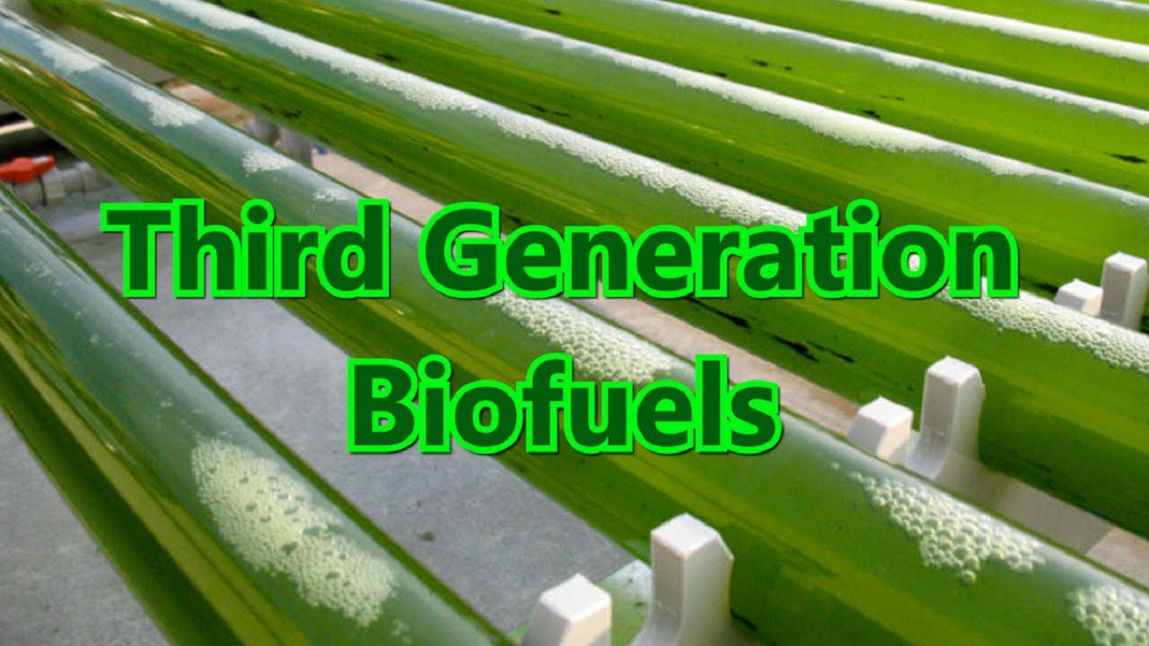 Third Generation Biofuels - The first major Edenia project - YouTube