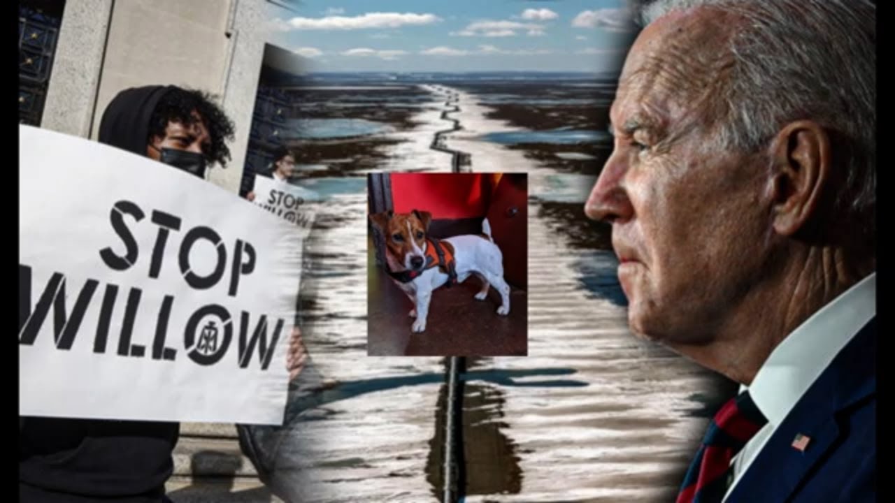 ¿Qué es el Proyecto Willow? El fin del mundo como lo conocemos esta ...