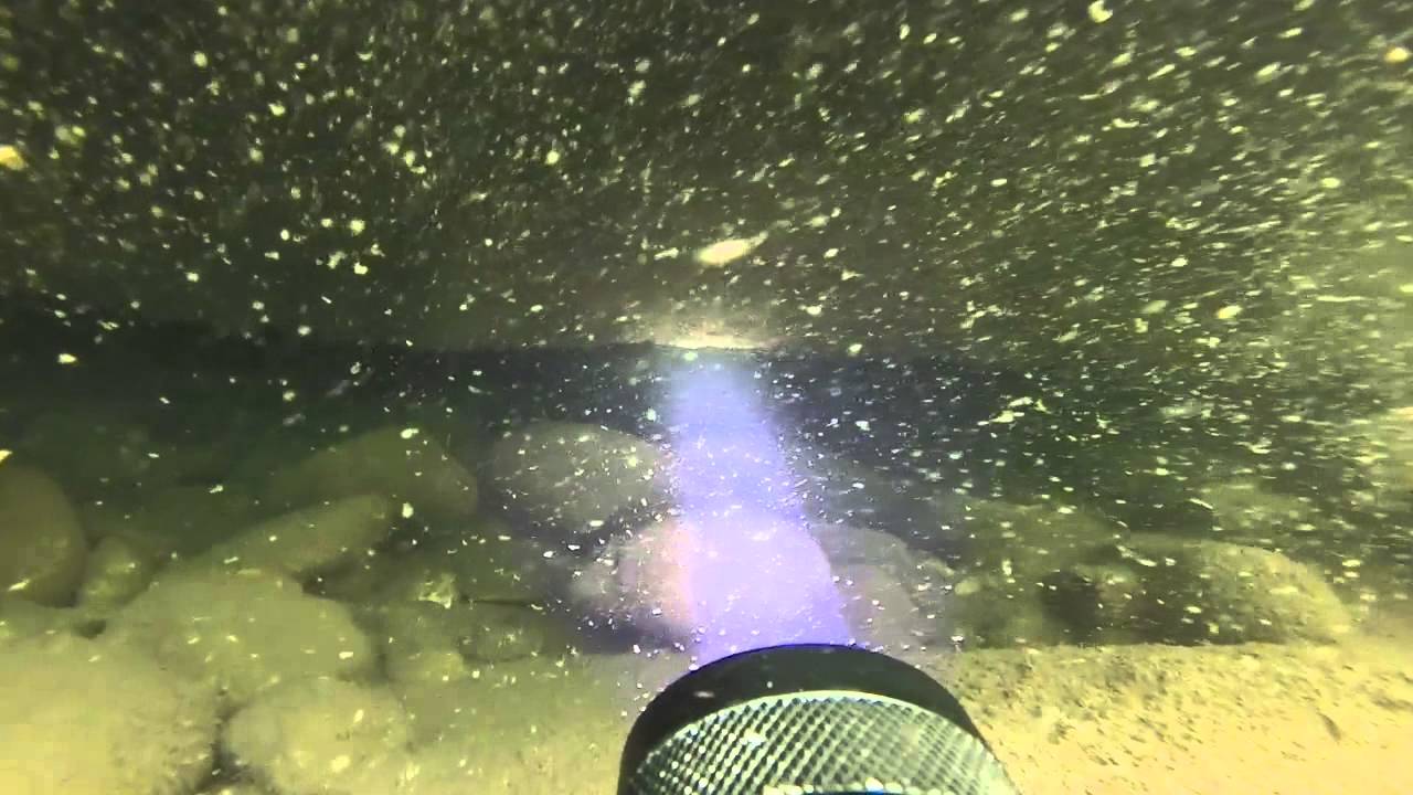 Under the bridge American River Dive - YouTube
