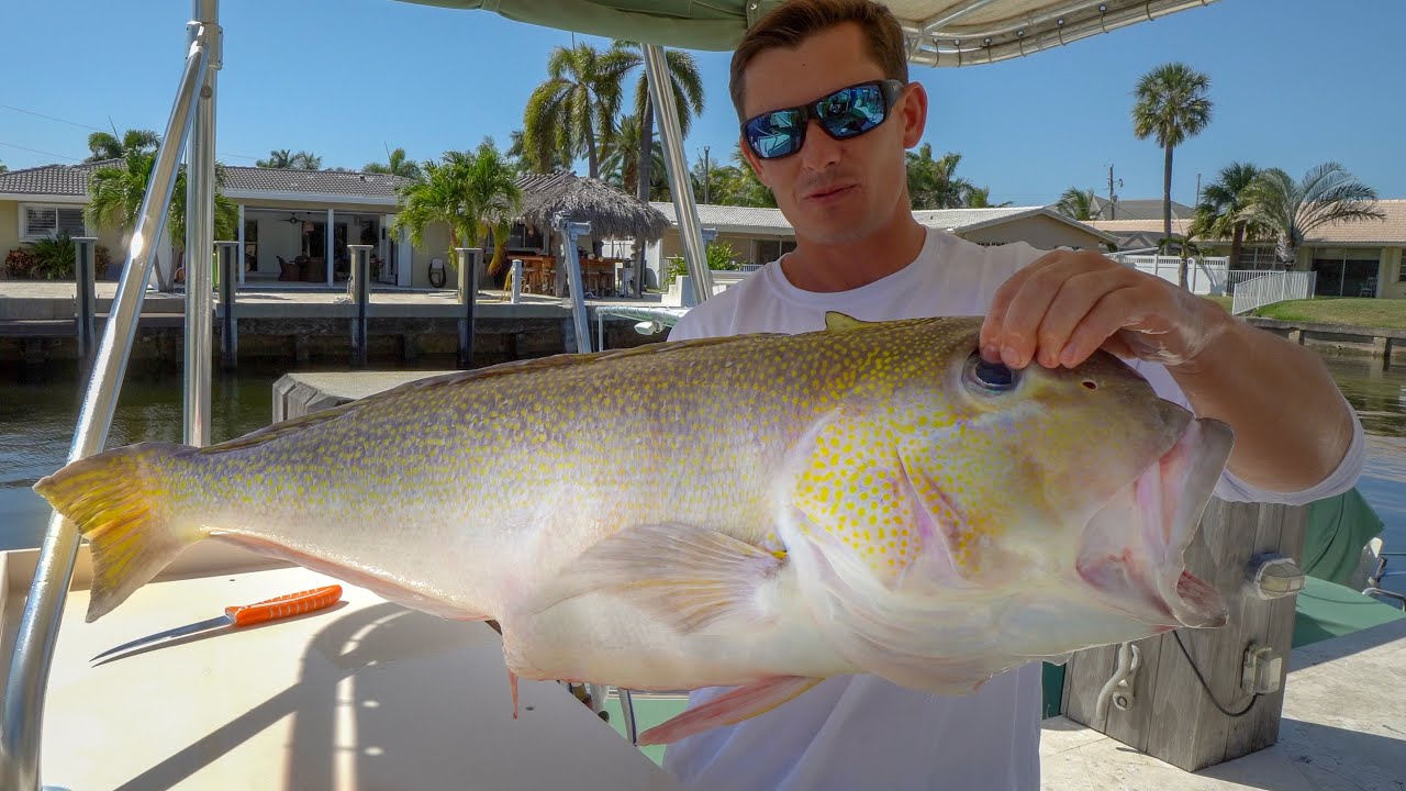 How To Fillet Golden Tilefish! - YouTube