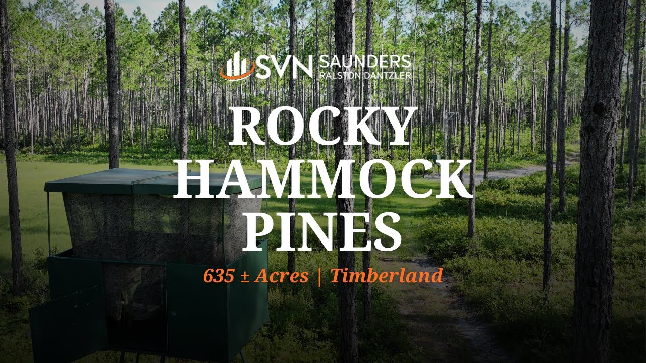 Florida Timberland Tract For Sale | Rocky Hammock Pines | 635 ± Acres ...