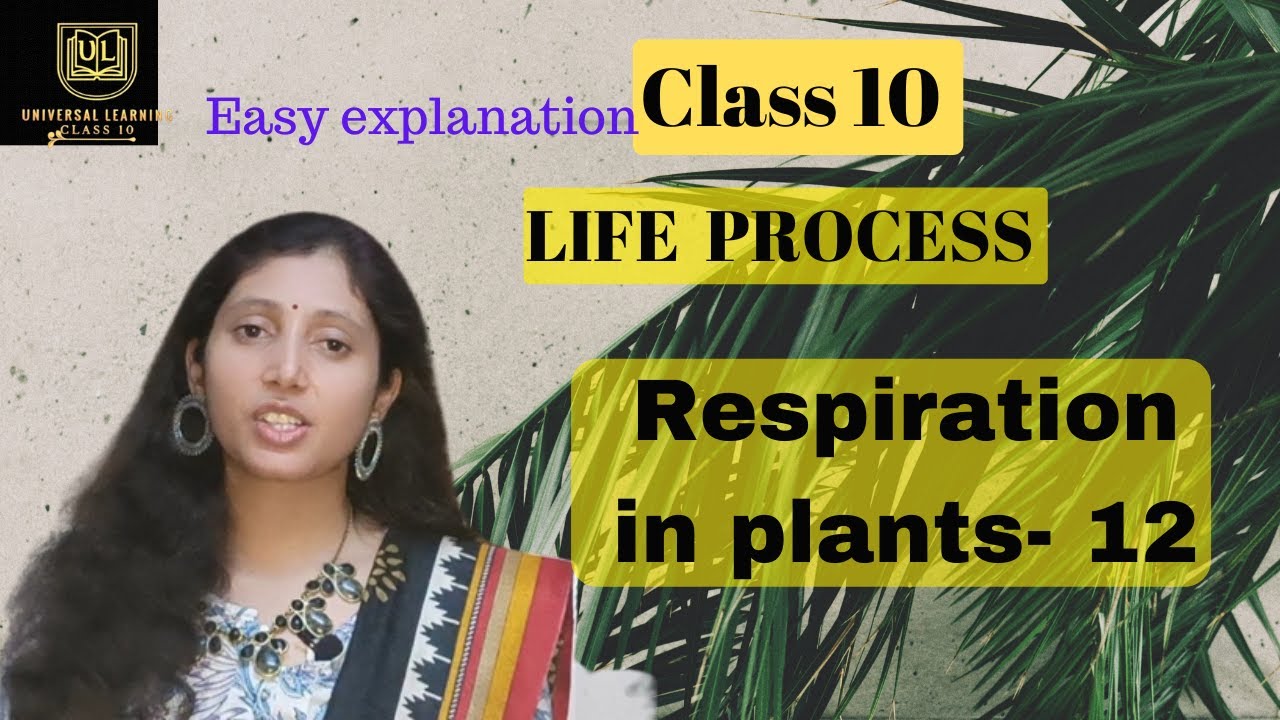 Respiration in plant -12 || class 10 Respiration|| class 10 science ...