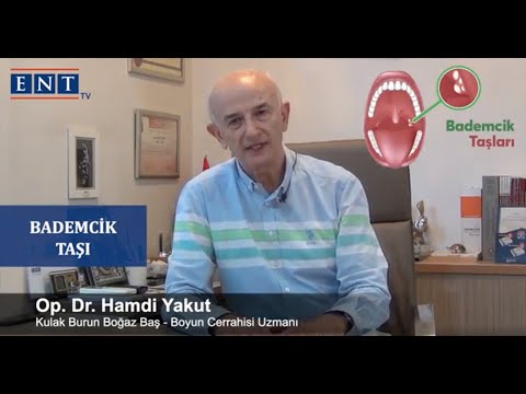 BADEMCİK TAŞI - Op. Dr. Hamdi Yakut