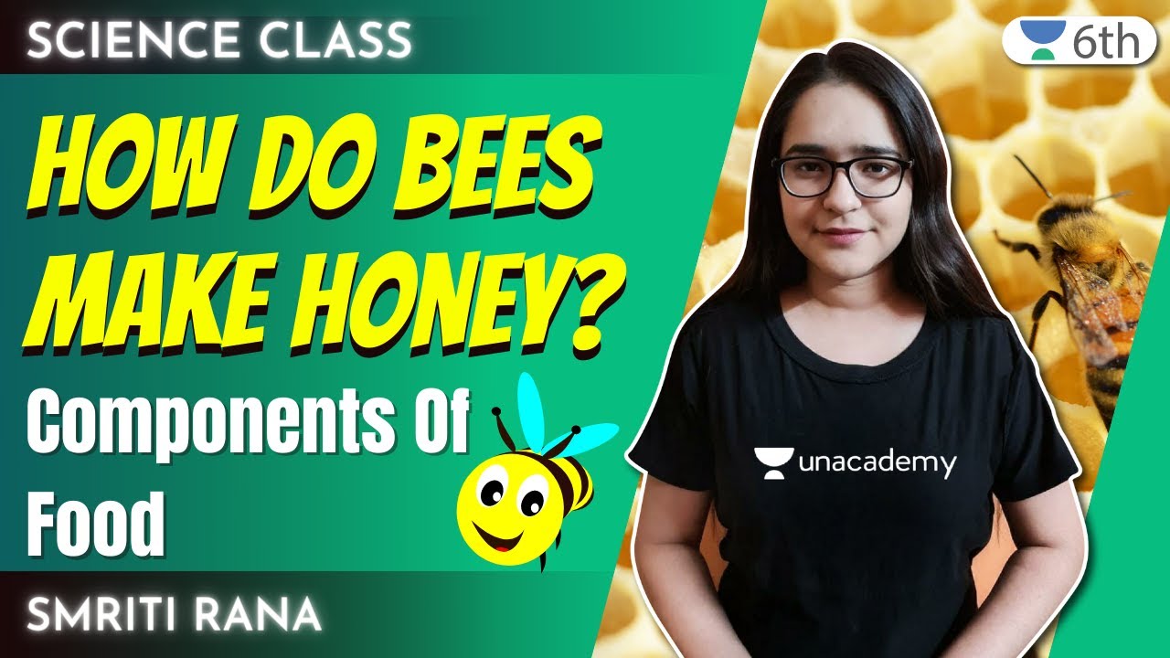 How Do Bees Make Honey? | Components Of Food | Science | Unacademy 6th ...