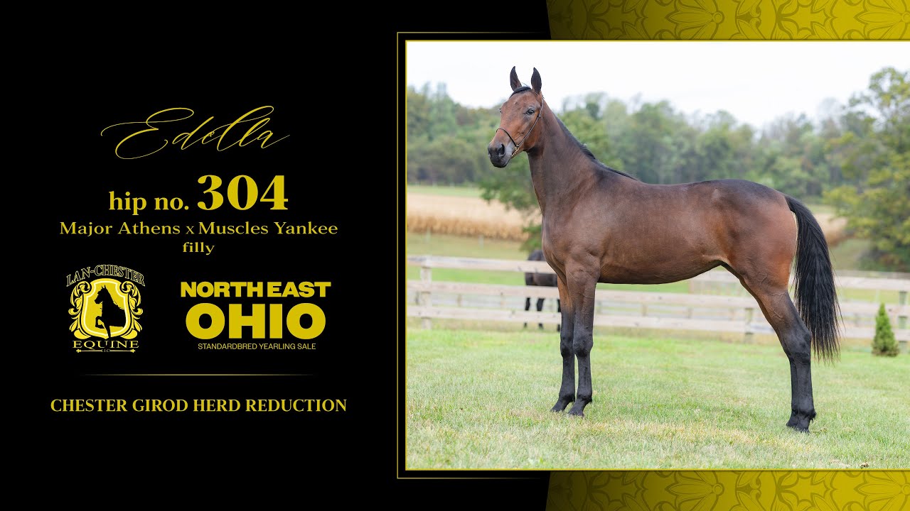 Edella (Major Athens x Muscles Yankee) Lot 304 - YouTube