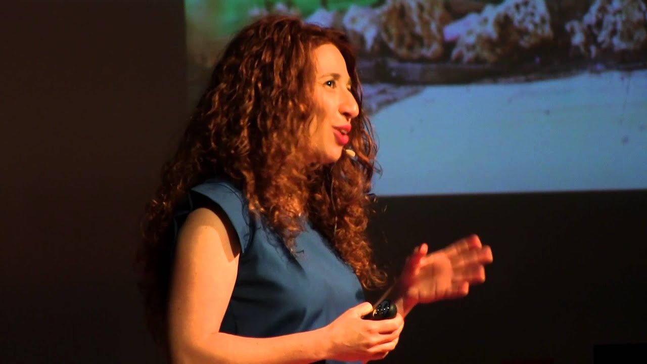 Who moved my compassion?: Ori Shavit at TEDxBGU - YouTube