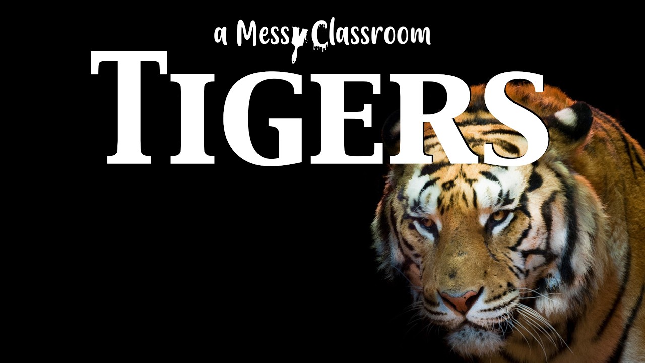 Bet You Don't Know This About Tigers | The Amazing World of Tigers ...