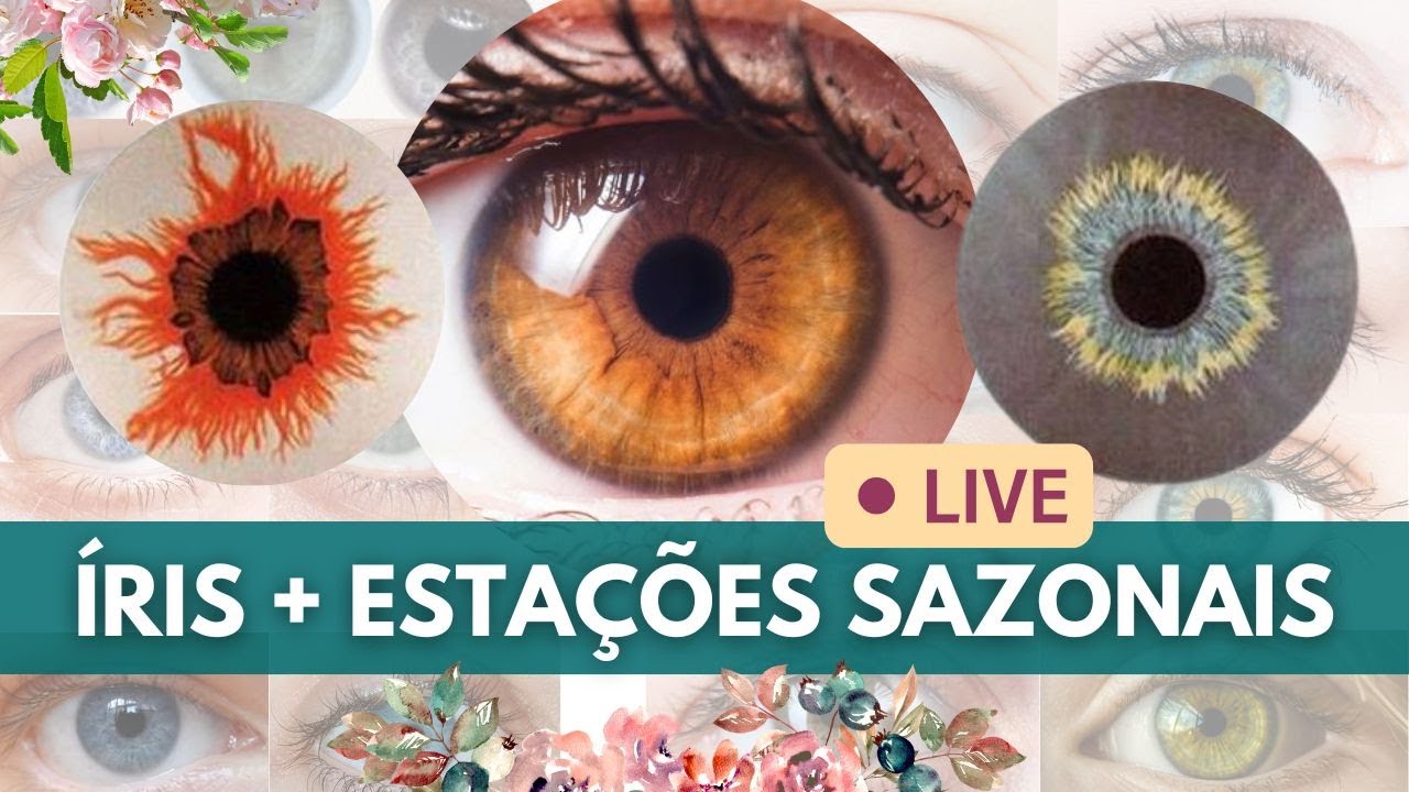 Os padrões da íris e as paletas de cores! - YouTube
