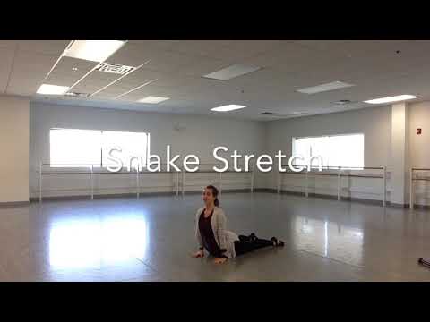 Level 1A Ballet: A Stay-at-Home Class for Beginner Dancers by Rio Tasia Guillaume