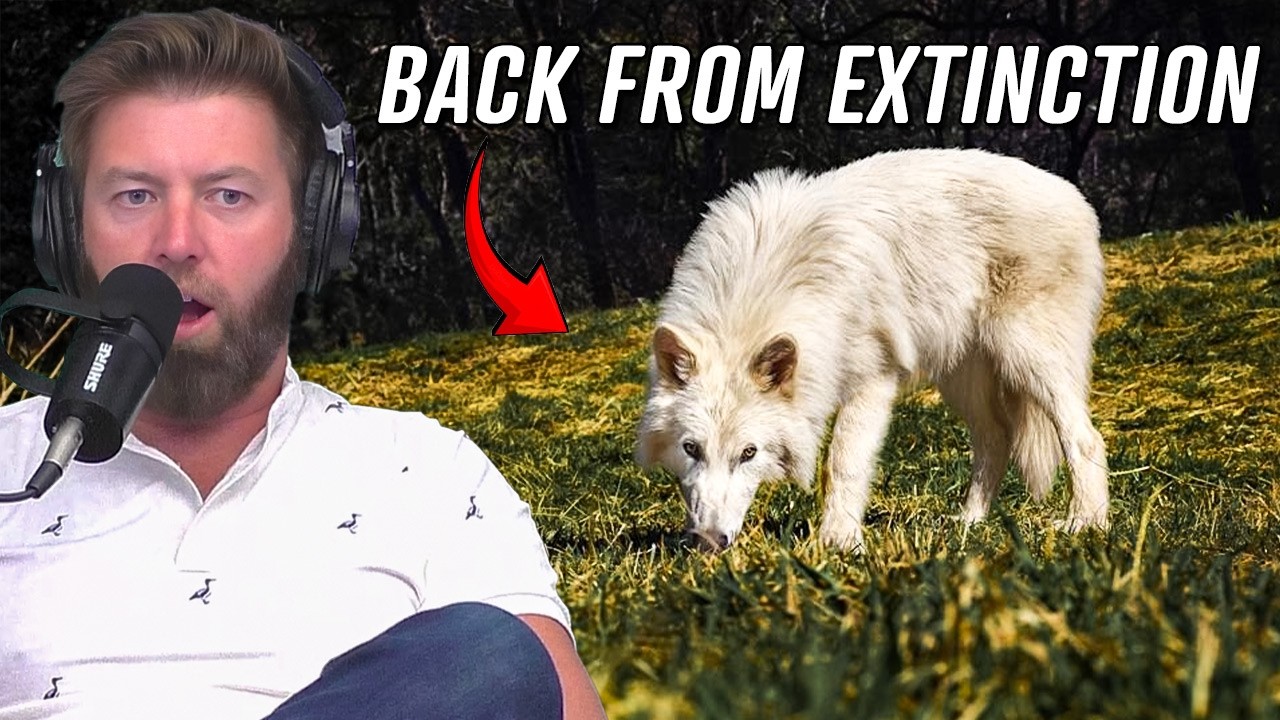 Dire Wolf Brought Back 10,000 Years After Extinction - YouTube