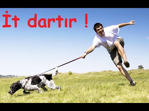Itler haqqinda,terbiye olunmasi.Dartmaq,insanlara hucum cekmek,soze baxmamaq problemi.