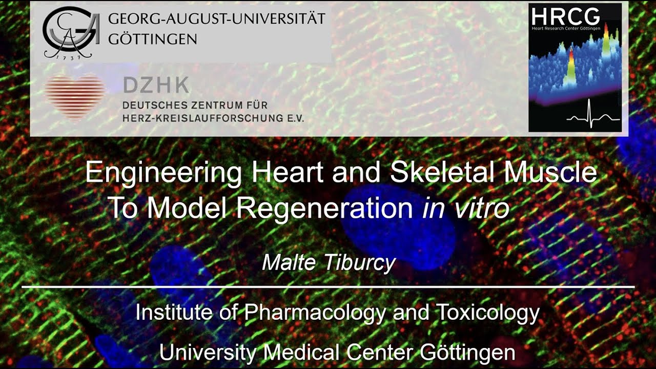 Engineering Heart and Skeletal Muscle with Advanced Maturation —Malte ...