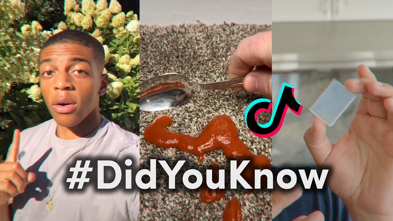 TIK TOK #DIDYOUKNOW COMPILATION | DID YOU KNOW COMPILATION TIKTOK 2020 ...