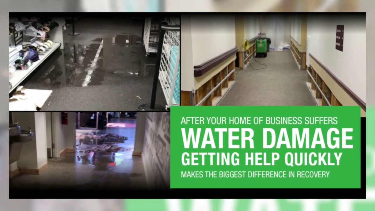 SERVPRO Water & Flood Damage Cleanup and Restoration Service - YouTube