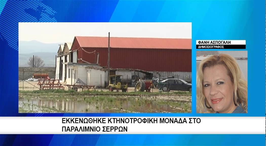 Συνεργεία του δήμου εκκένωσαν κτηνοτροφική μονάδα που απειλούνταν από ...