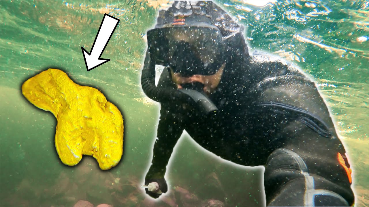 I Found A Golden BEAR While Sniping For Gold! - YouTube