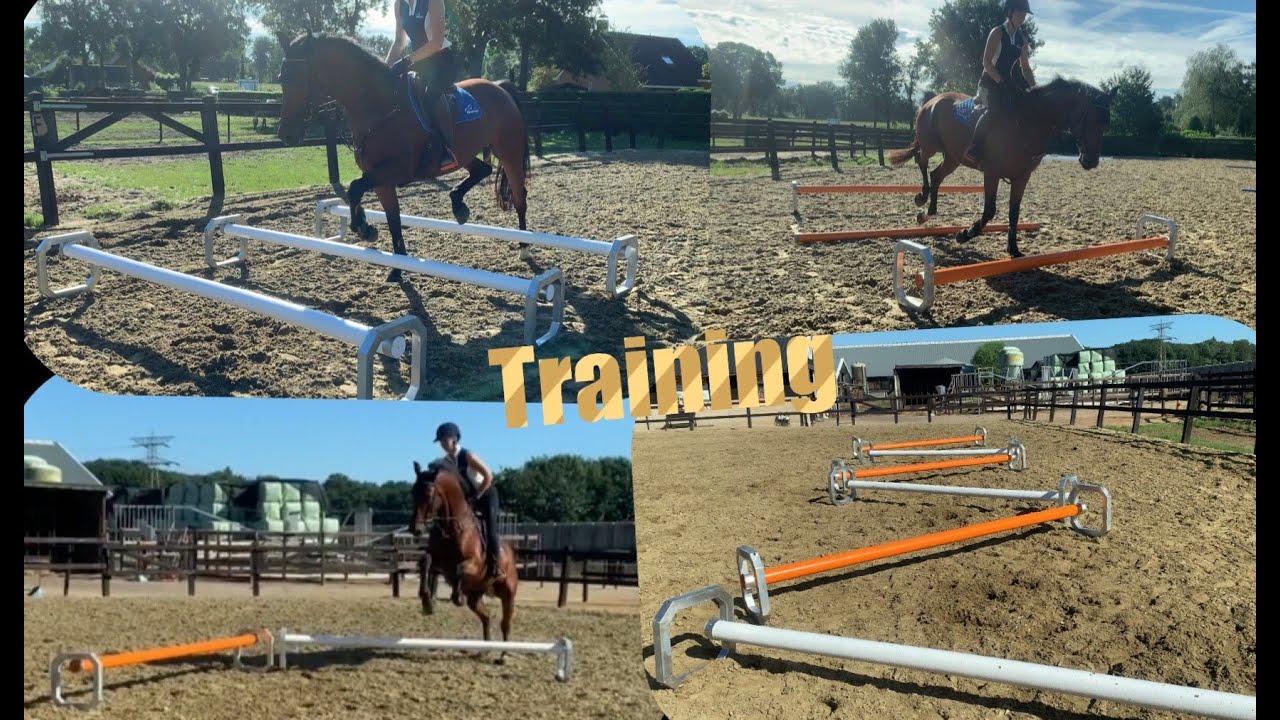 Cavaletti training & oefeningen! Inclusief tips | Hindernissen Centrale ...