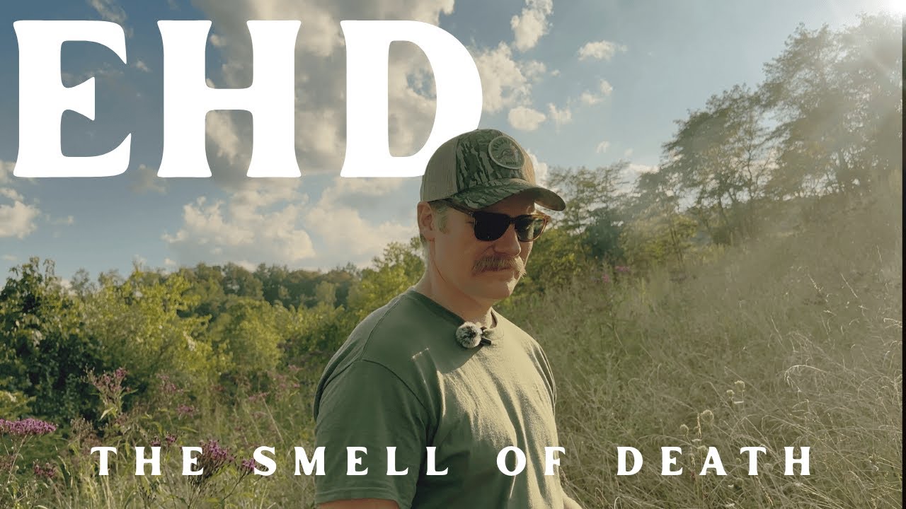 What Every Hunter Needs to Know About EHD - YouTube