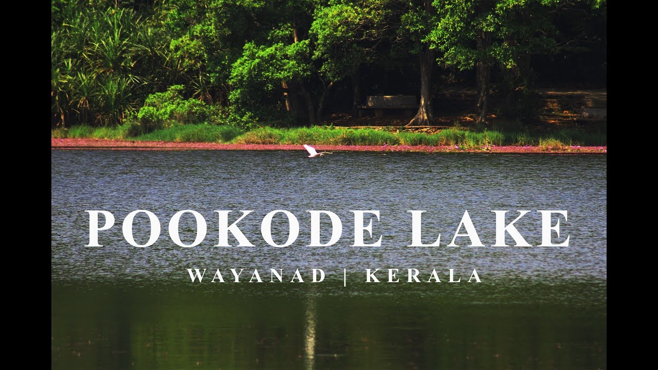 Pookode Lake | Wayanad | Kerala - YouTube