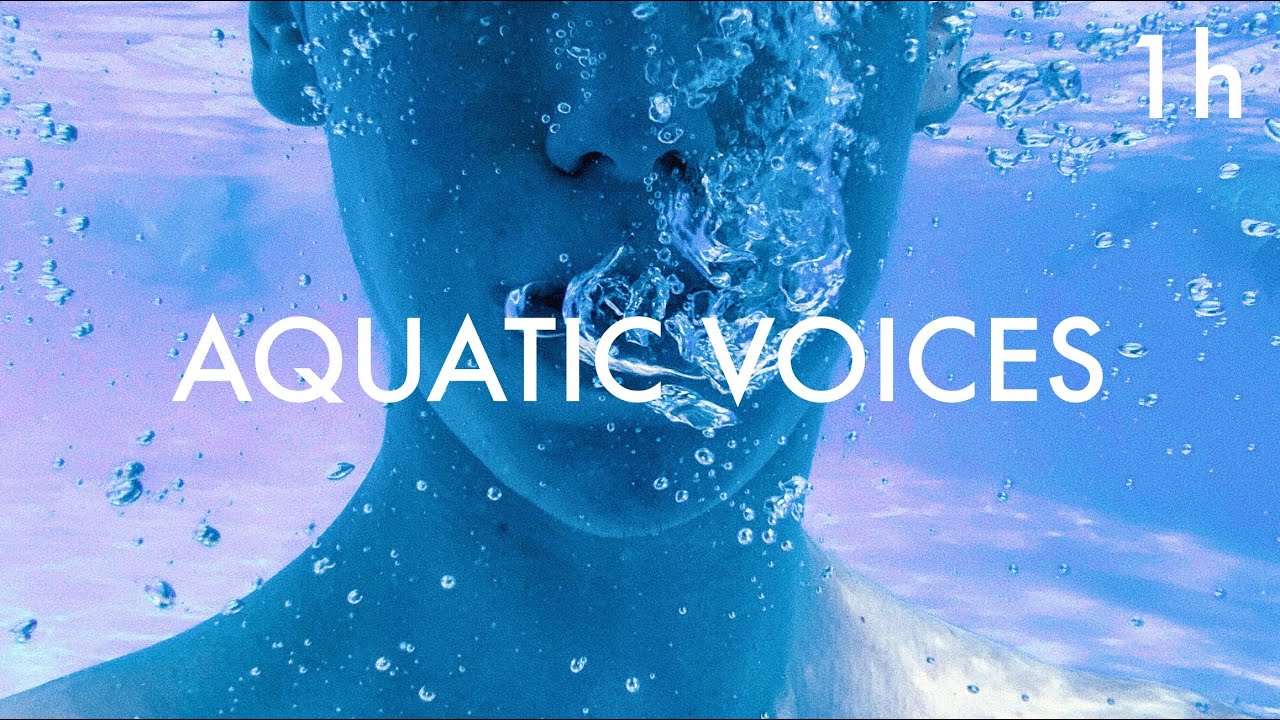 1 HOUR Aquatic Voices 🪼 Meditation, Relax, Feel Peace, Stress Relief ...