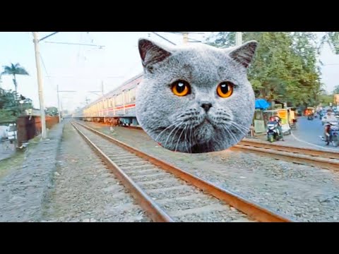 Waduuuhh Kereta Api Panjang Berubah Jadi Kucing Meong - YouTube