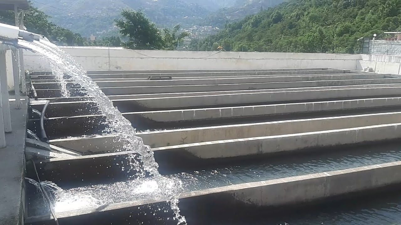 Madyan swat trout fish park - YouTube
