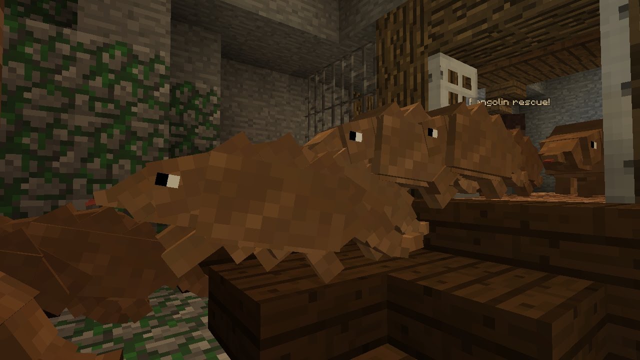 Pangolin Parade || We are the Rangers 4 (Minecraft Adventure) - YouTube