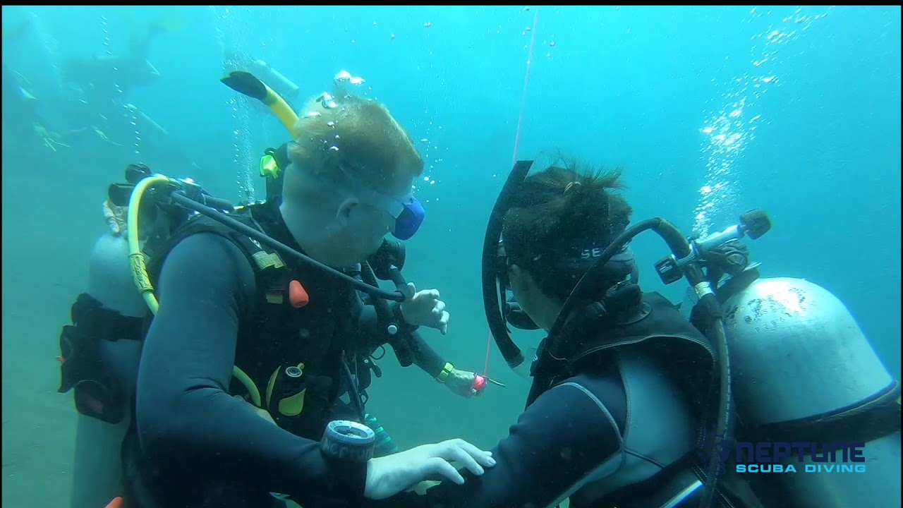 Disabled Diving Open Water Course in Bali - YouTube