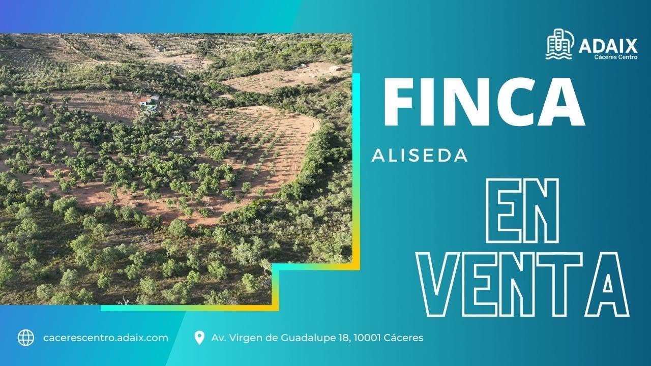 🏡 Finca en Venta Aliseda, Cáceres - YouTube