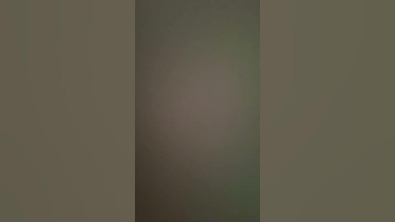 1 novembre 2024 - YouTube