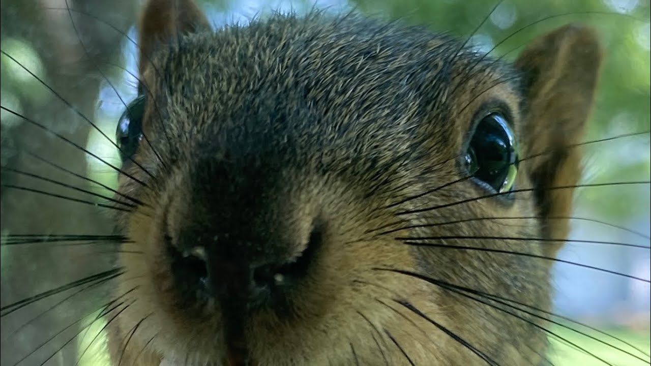 Duoing With GS Raider | Climb to Eternity - YouTube