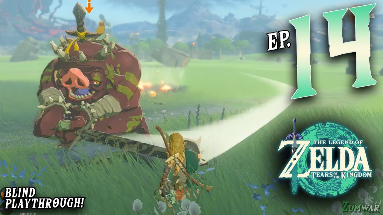 014: "Boss Bokoblin" - The Legend of Zelda: TotK | #totk # ...