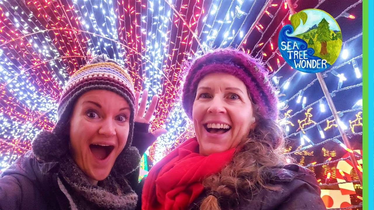 Wonderland of Lights & Color Inspiring Joy & Reflections - YouTube