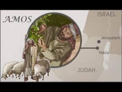 Amos visions | Amos vision of locust | vision of locust | Amos 7:1-3 ...