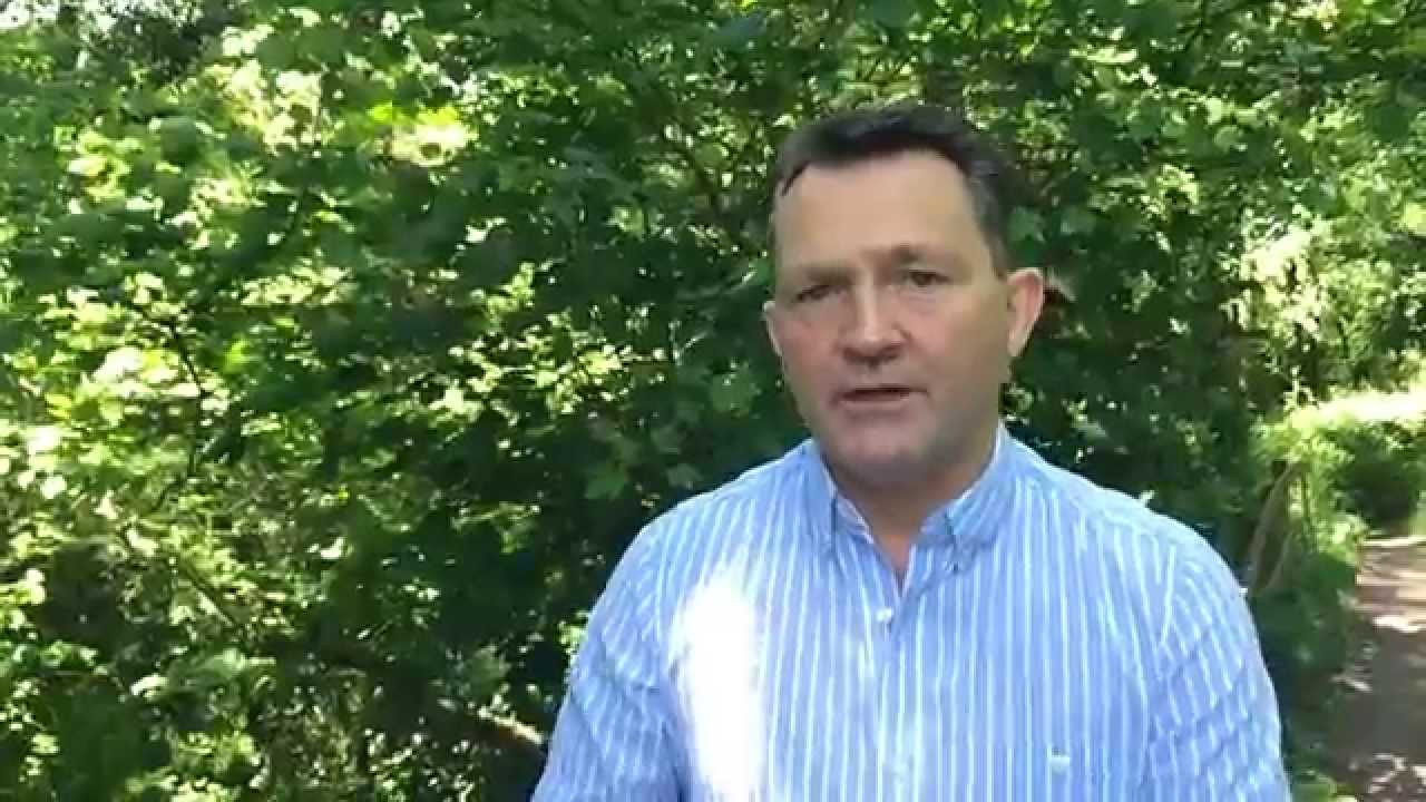 Michael O'Doherty on 'The Pathway to Success' - YouTube