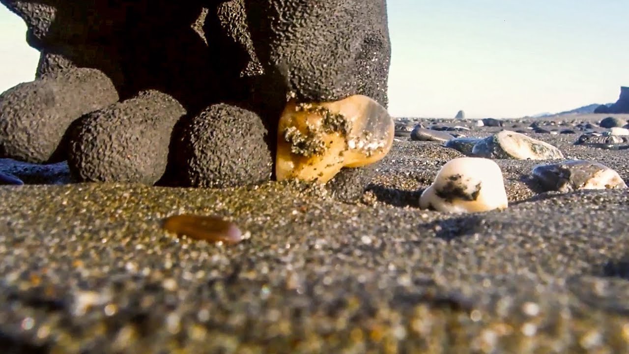 Turtle Rock Treasures 2 - YouTube