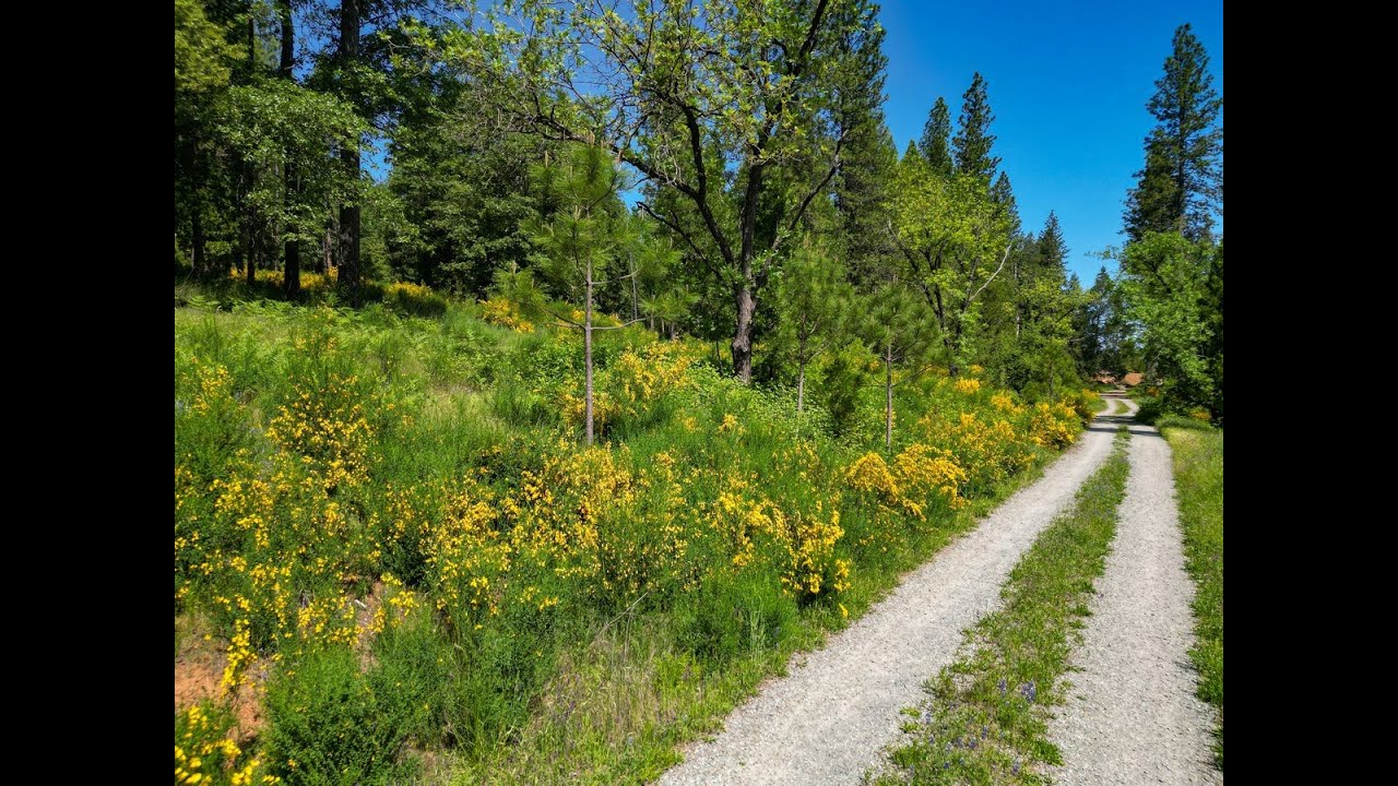 11620 Bitney Springs Rd Nevada City, Ca Real Estate - Branded - YouTube